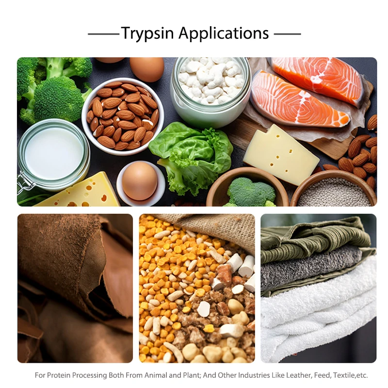 Trypsin Enzyme (200000u/g) for Protein Processing Both From Animal and ...