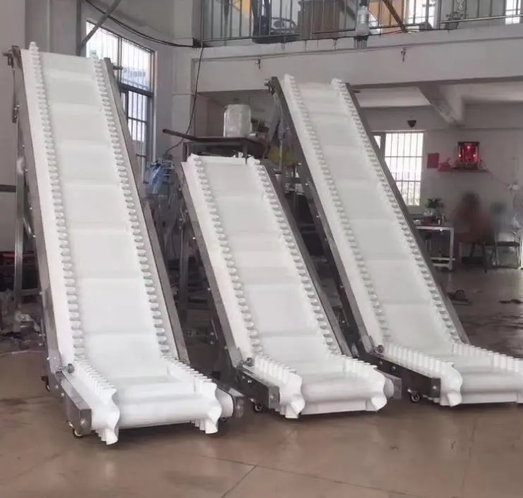 Stainless Steel Vegetable Fruit Inclined Loading and Unloading Climbing ...