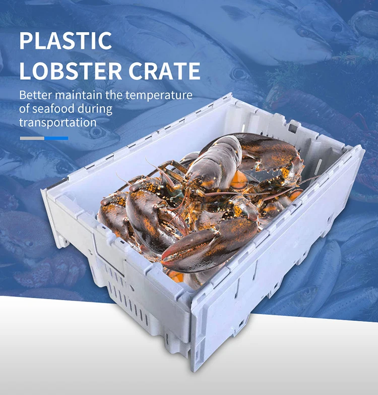 Wholesale Vented Mesh Stackable Pp Crab Storage Seafood Plastic Lobster ...