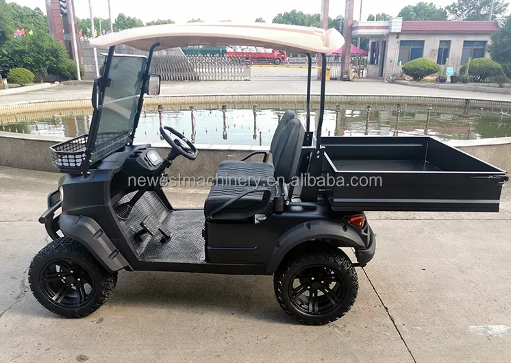 48v/ 72v 5kw 4x2 Electric Golf Buggy Price Golf Carts 2 Passenger 2 ...