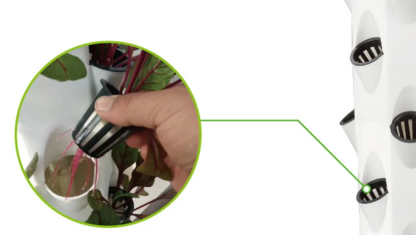 Vertical Grow Systems - Efficient Hydroponic Solutions