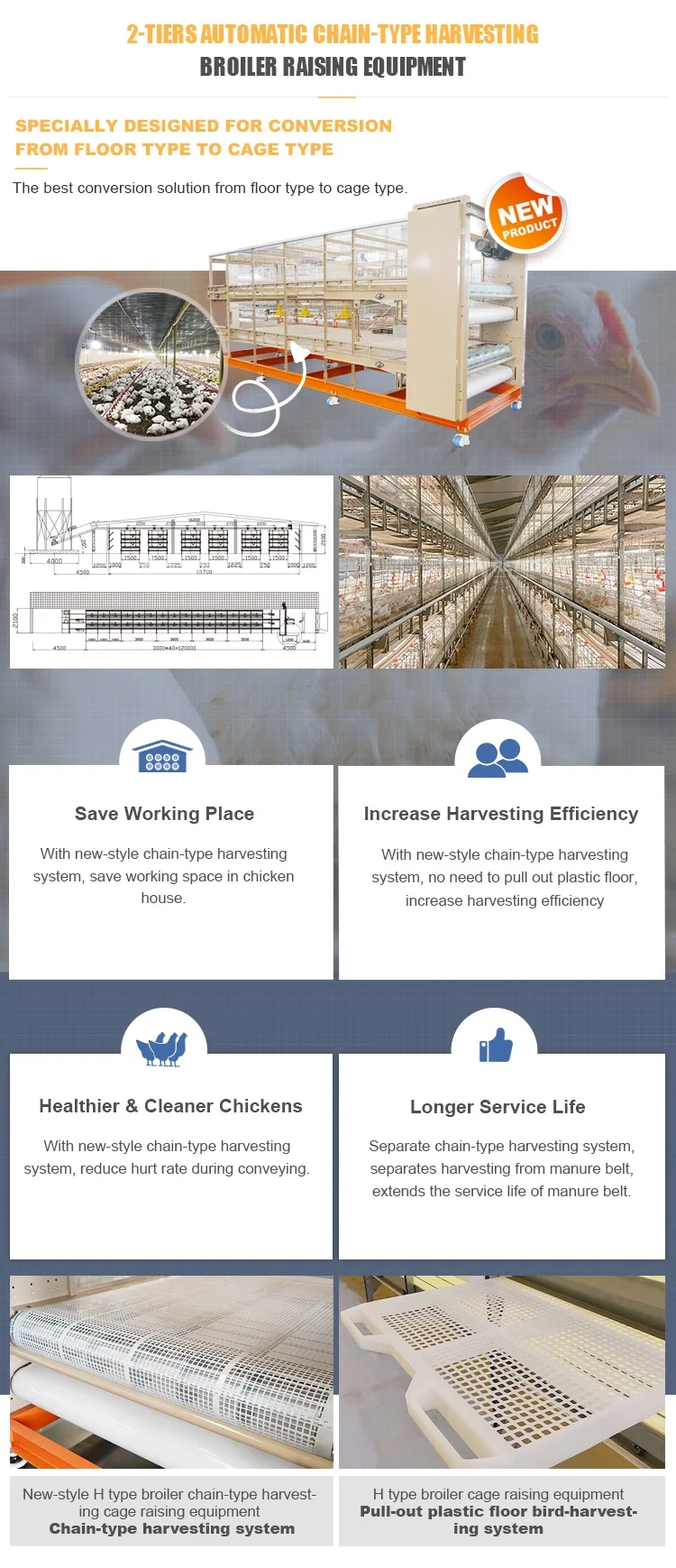 Philippines Ccs Chicken Building Floor Farming Upgrade Automatic Chain ...