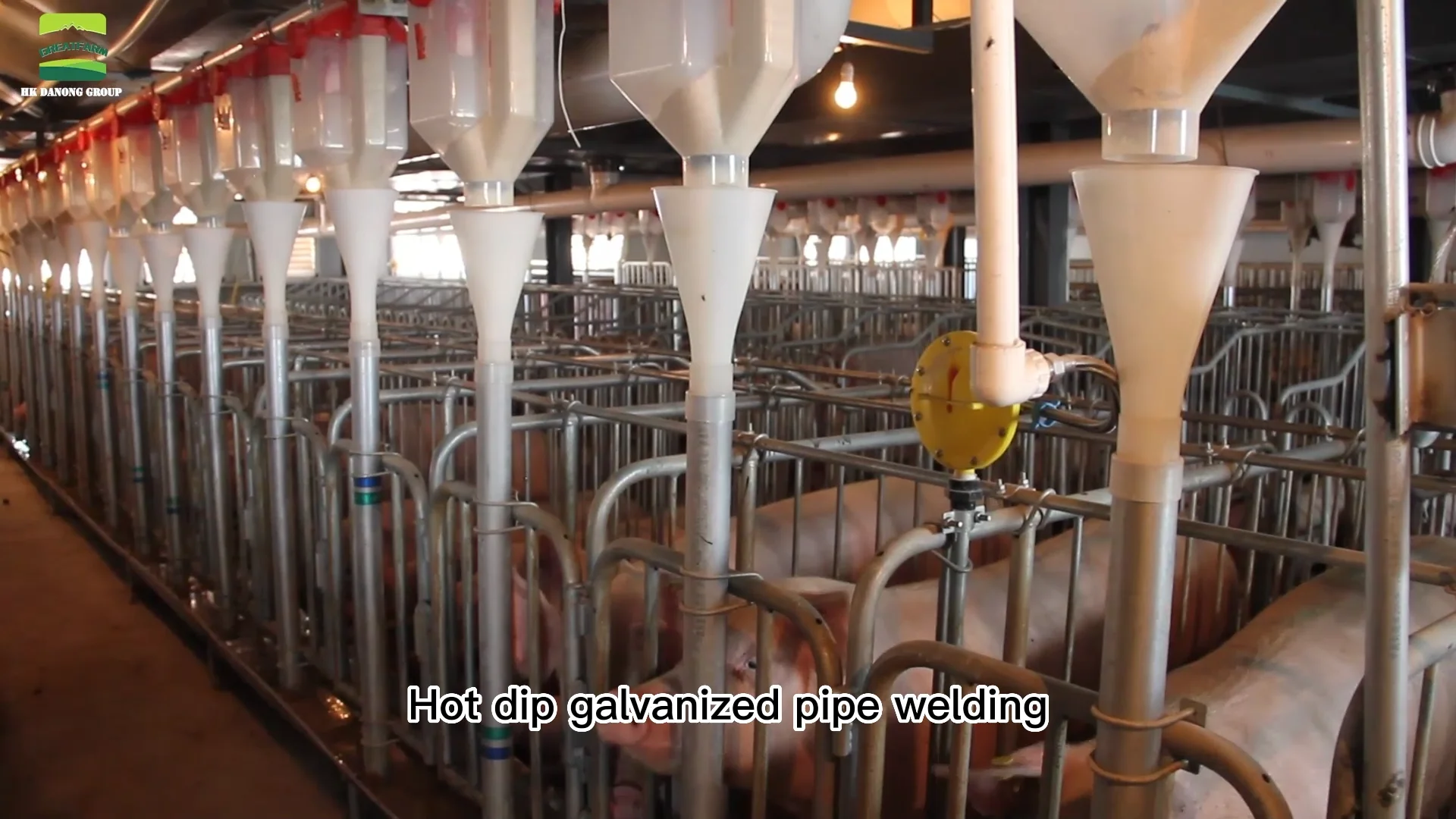Great Farm Galvanized Pig Pen Integrated Installation Of Specialized ...