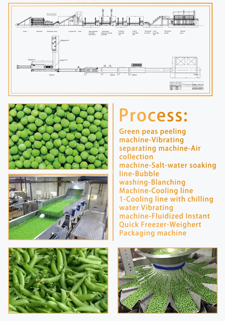 Automatic Complete Fruit Vegetable Processing Line Automatic Fruit ...