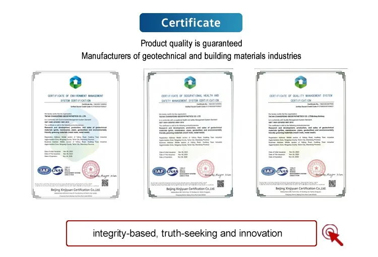 300g 400g 500g Continuous Filament Nonwoven Geotextile Slope Protection ...