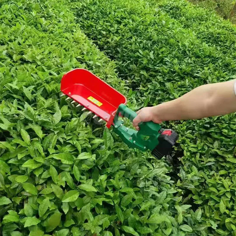 Tea Picking Machine Tea Leaf Picker with Lithium Battery Tea Plucker ...