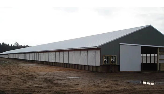 Dairy Farm Steel Structure Milking Cows Shed Room Steel Structure Dairy ...