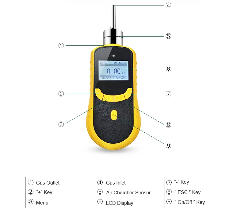Portable Ph3 Ch3br So2f2 Gas Detector With Pumping Sampling For ...