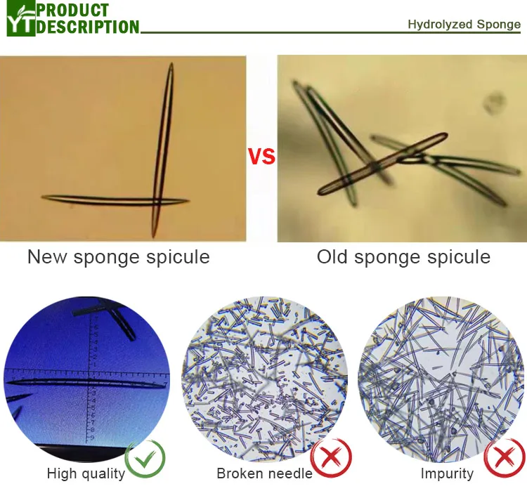 Natural Algae Peel off Powder 70% Sponge Spicule Spongilla Spicules