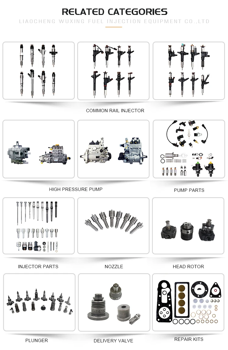 Diesel VE Pump Head Rotor 4/10R 096400-0371 for T/OYOTA 2L Diesel ...