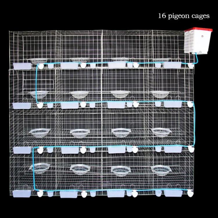 Pigeon Aviary - Quality Breeding Cages for Racing Pigeons