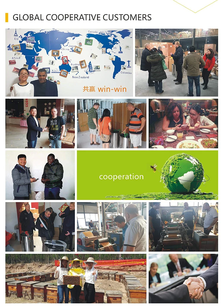 Electric Automatic Embossing Comb Sheet Making Beeswax Honeycomb ...