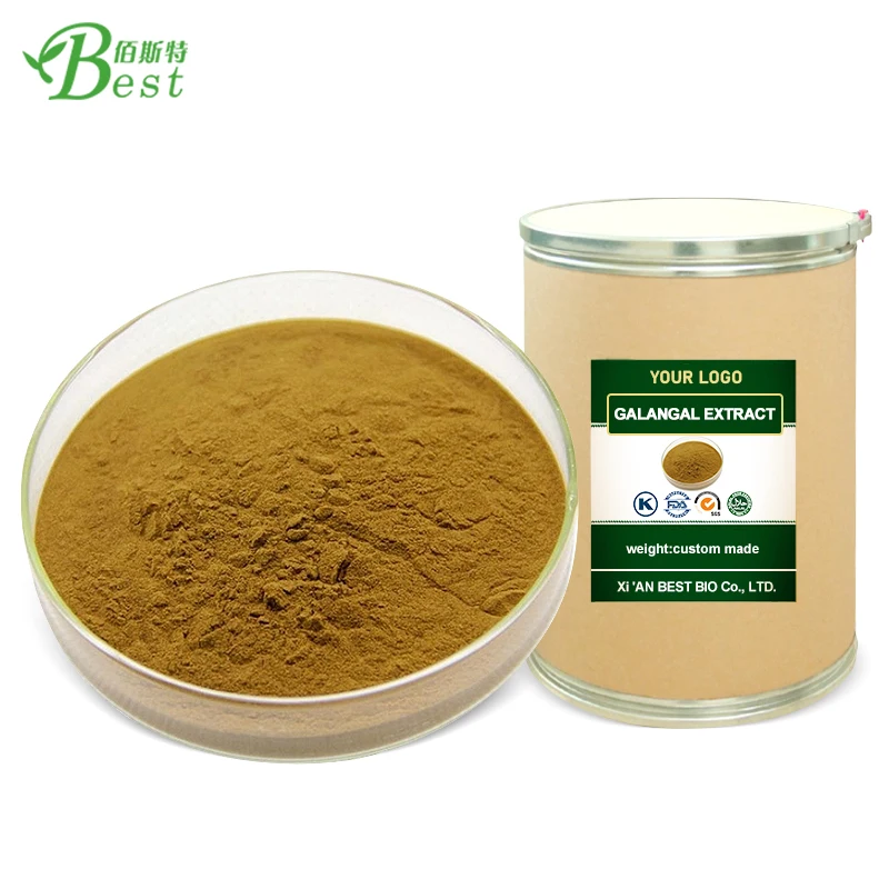 Pure Alpinia Officinarum Lesser Galangal Rhizome Extract Powder 10:1 ...