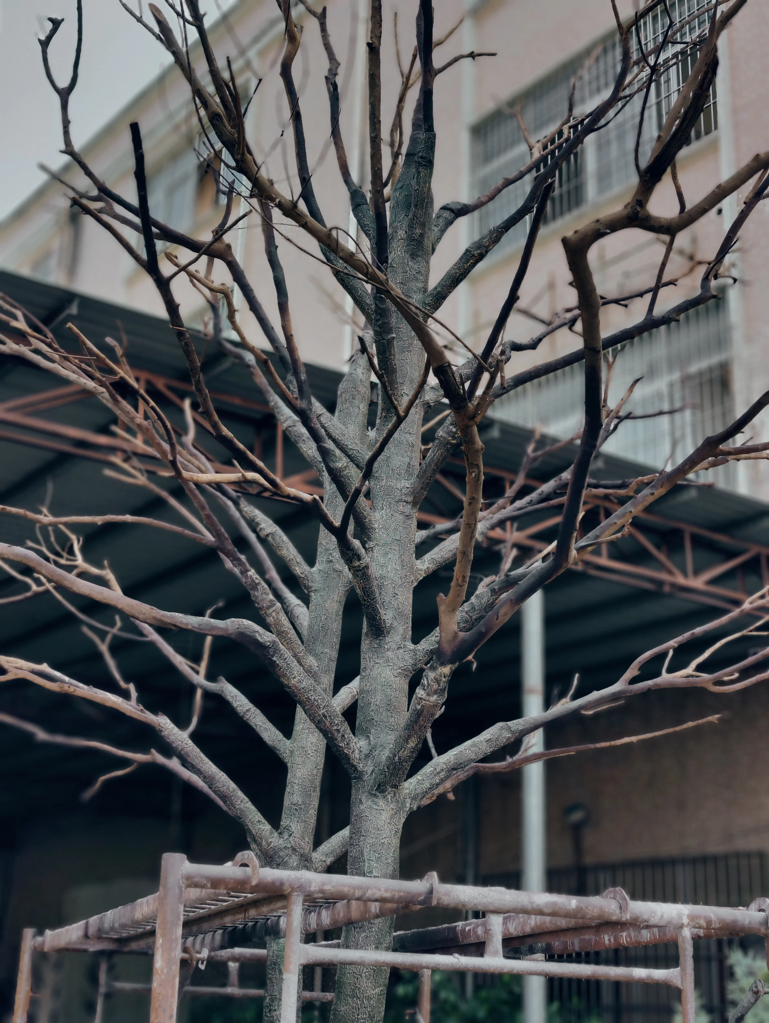 Customized Large Tree Fiberglass Trunk - Natural Touch Leaf