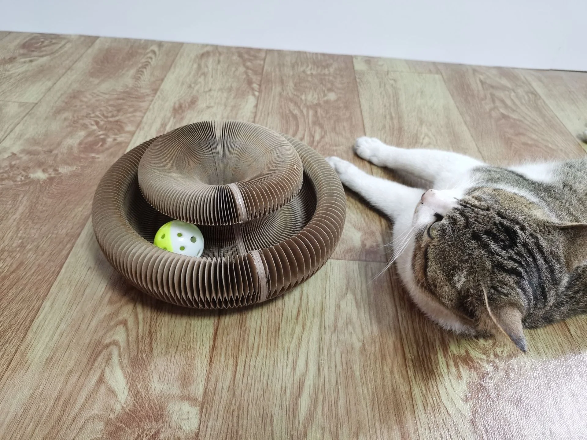 Foldable Corrugated Deformation Scratch Cat Toy Magic Organ Cat ...