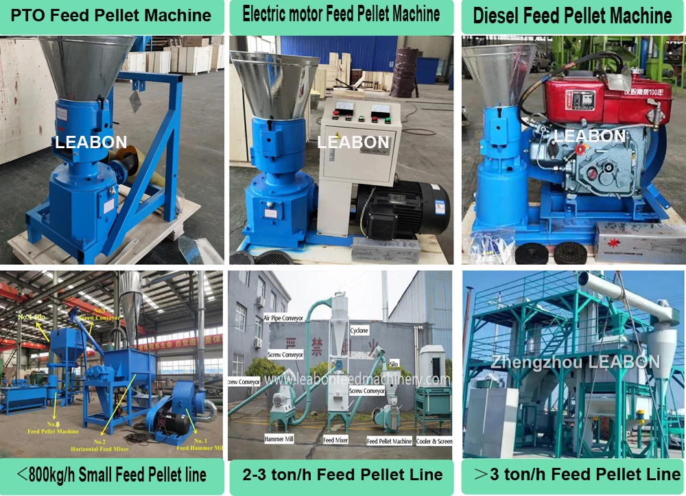 1000kgs/h Animal Feed Pellet Machine - Efficient & Durable