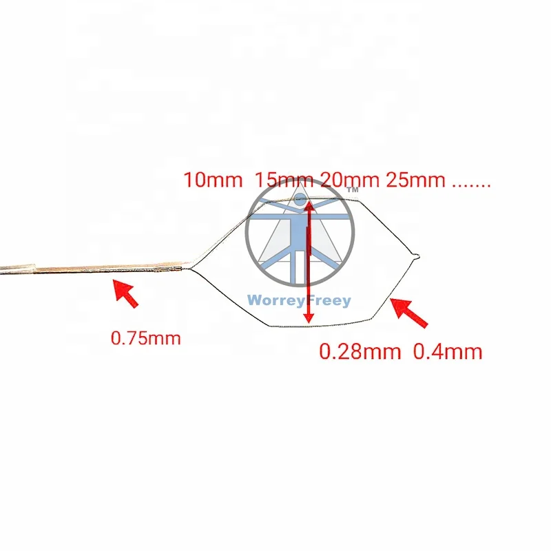 Disposable Instrument Polypectomy Snare - Endoscopic Snare