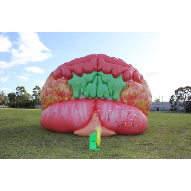 Realistic Inflatable Lungs - Educational Display Balloons