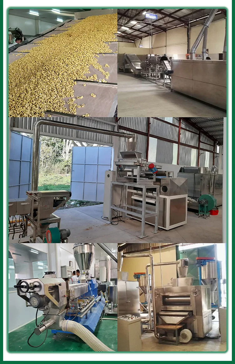 Sunpring Maquina Para Hacer Corn Flakes Cornflakes Making Machine 150kg/h Corn Flakes Machine ...