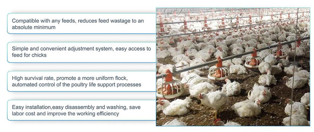 Automatic Poultry Feeder Broiler Chicken Automatic Drinker Pan Feeding ...