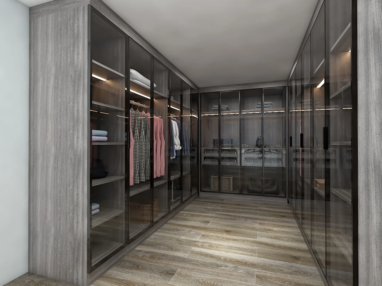 Luxury Modern Walk in Closet Cabinet - Storage & Style