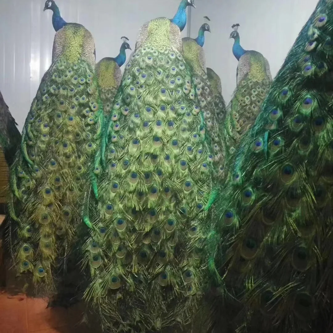 Large Size Photography Props Wedding Party Decoration Simulation ...