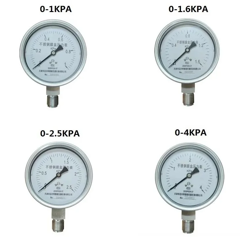 Stainless Steel Pressure Gauge YE-100BF/YEF-100 for Natural Gas