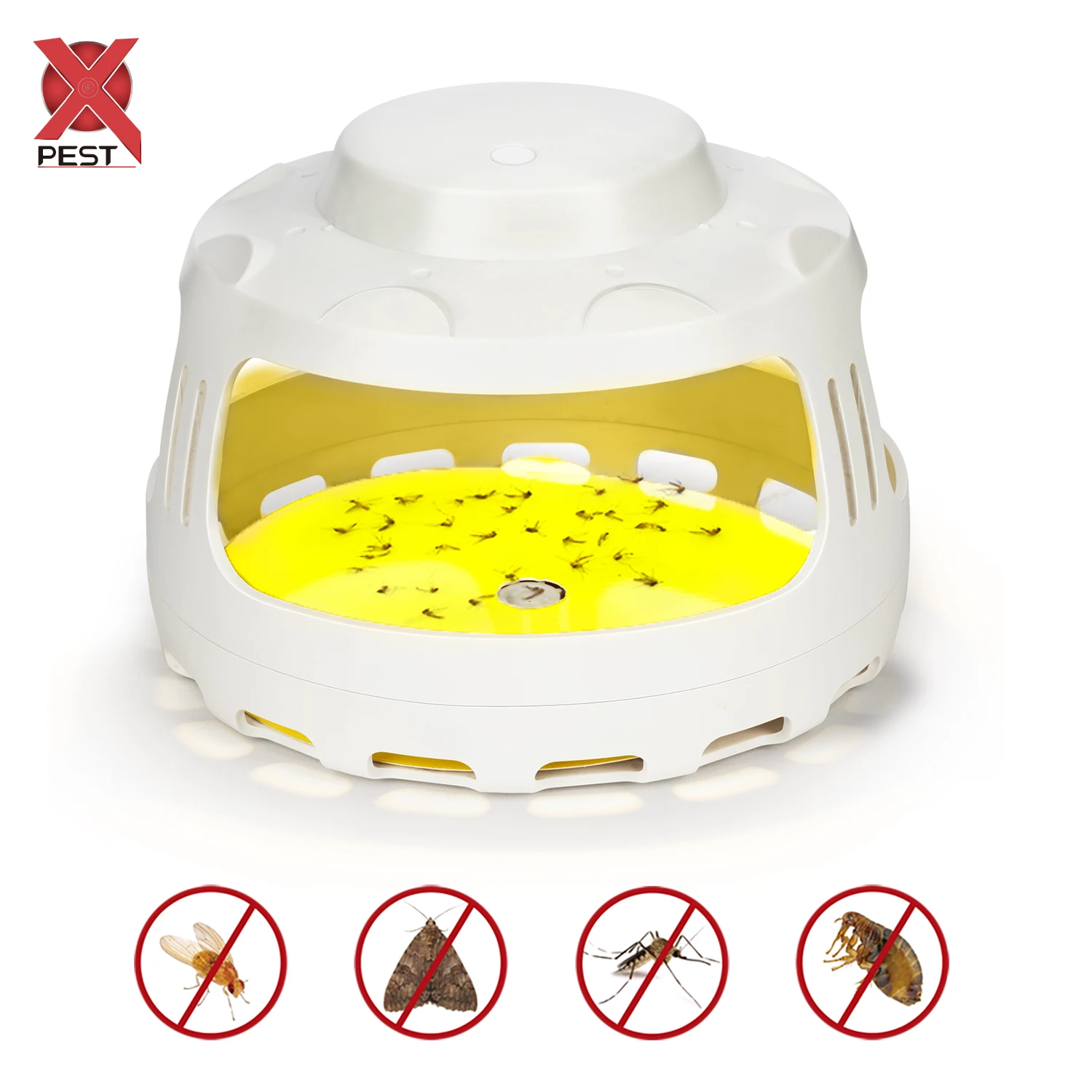 X-pest Fruit Flies Catcher AR13-B - Efficient Pest Control