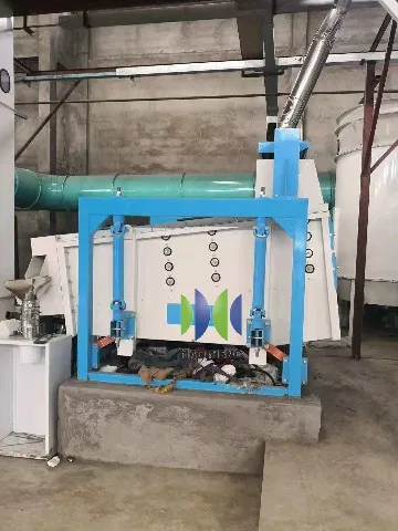3TPH Green Coffee Bean Seed Processing Plant - High Efficiency
