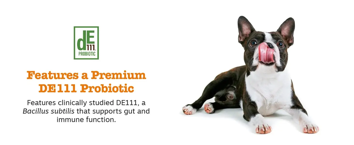 Professional Custom Brand Logo Pet Multivitamin Chew Cat Nutrition ...