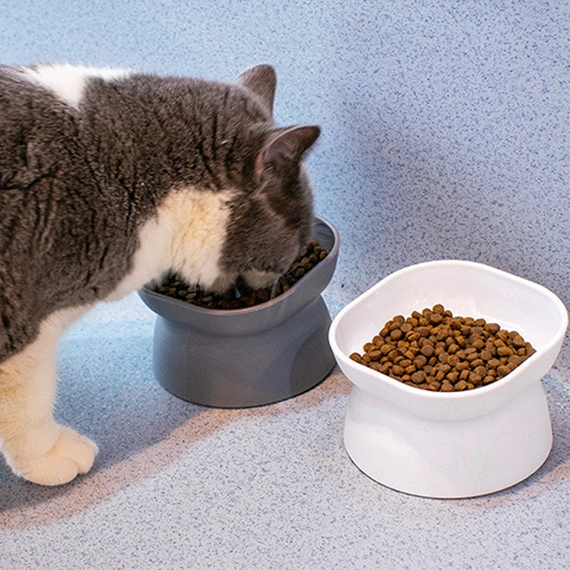 Double-sided Available Modern Cat Bowl Protection Cervical Bevel Eco ...