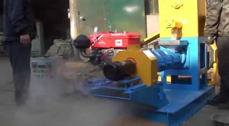 Dgp40 Electric Generator Floating Fish Machine Pellet Floating Fish ...