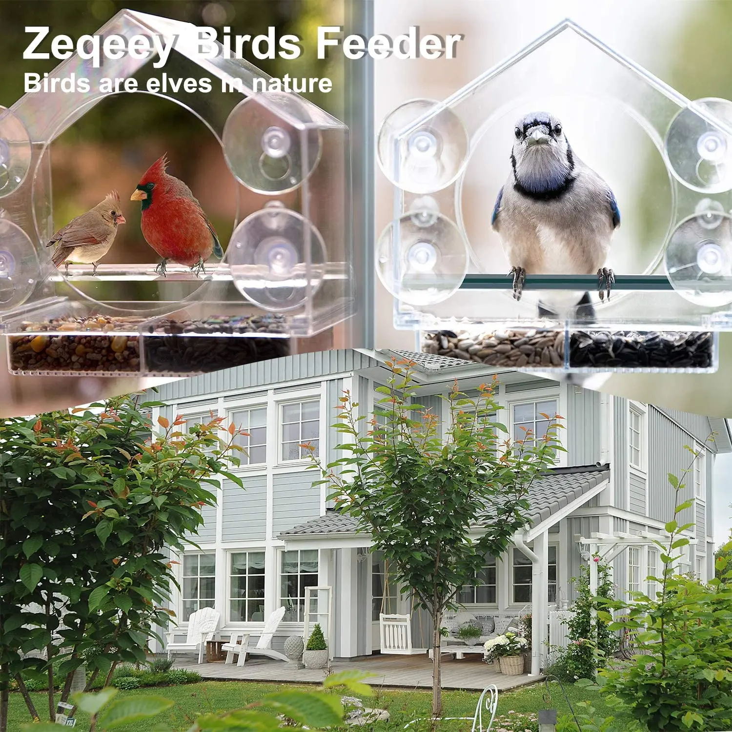 House Shaped Acrylic Window Plastic Bird Feeder Clear Windows Bird ...