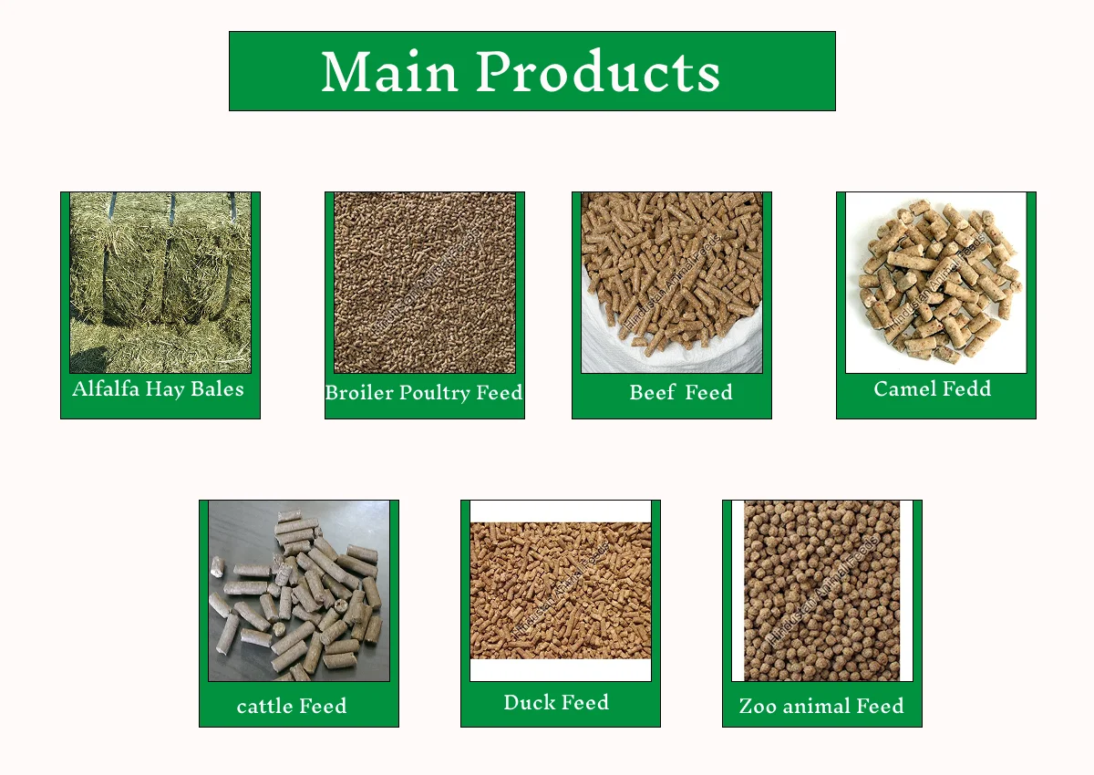 Camel Breeder Feed high-Protein Animal Feed Environmentally Friendly ...