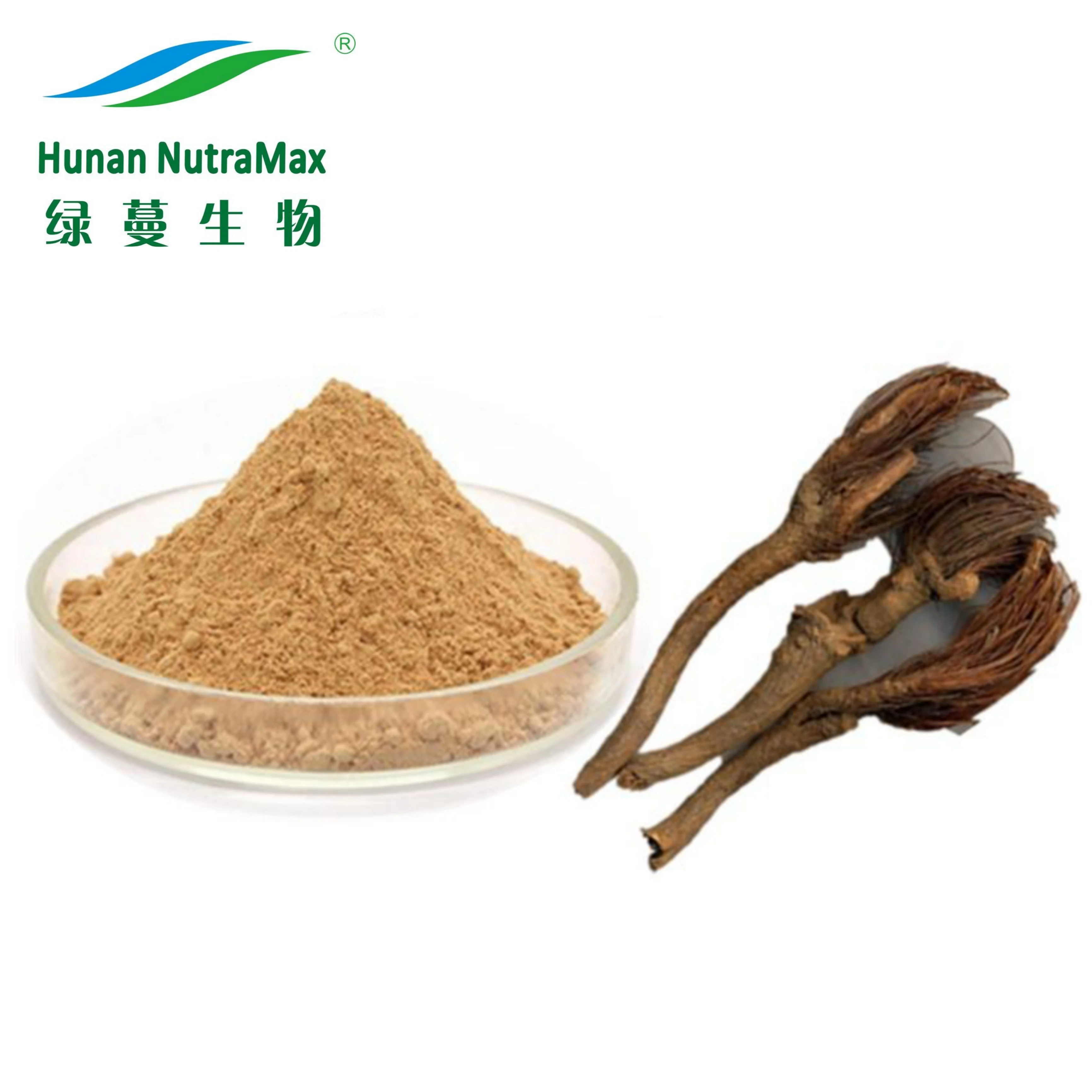 100% Natural Rhaponticum Carthamoides /Maral Root Extract Powder ...