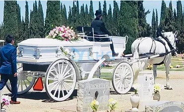 New Design Glass Horseless Hearse Carriage Horse Hearse Factory ...