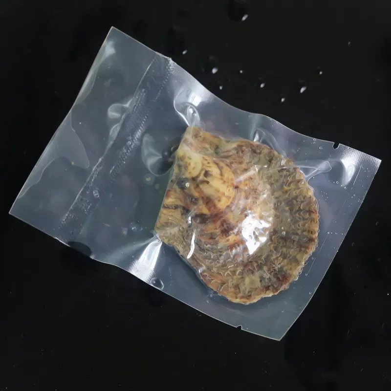 Famous 4a Fresh Water Natural Akoya Shell Oyster With Pearls From Pearl ...