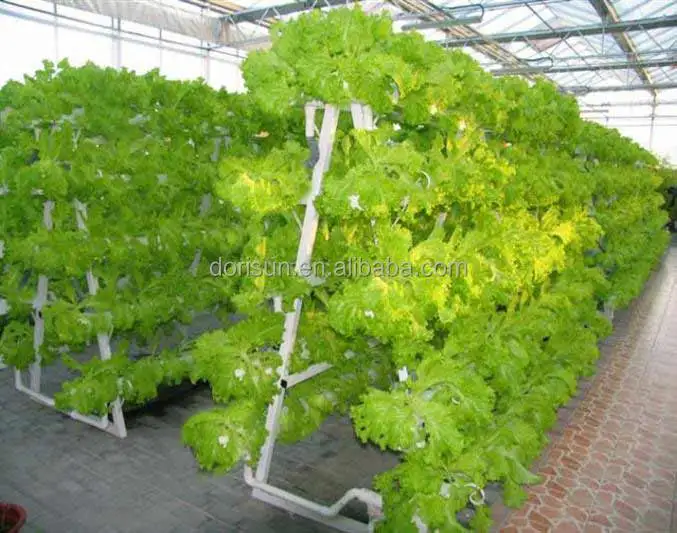 Commercial Hydroponic System - High Productivity Grow Pipes