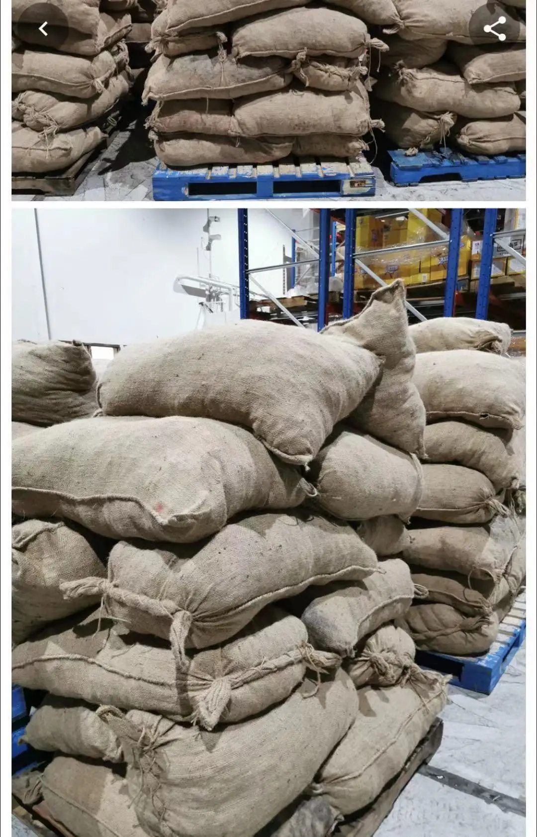 Good Quality Packaged Chestnut Chinese From China Chinese Chestnuts ...