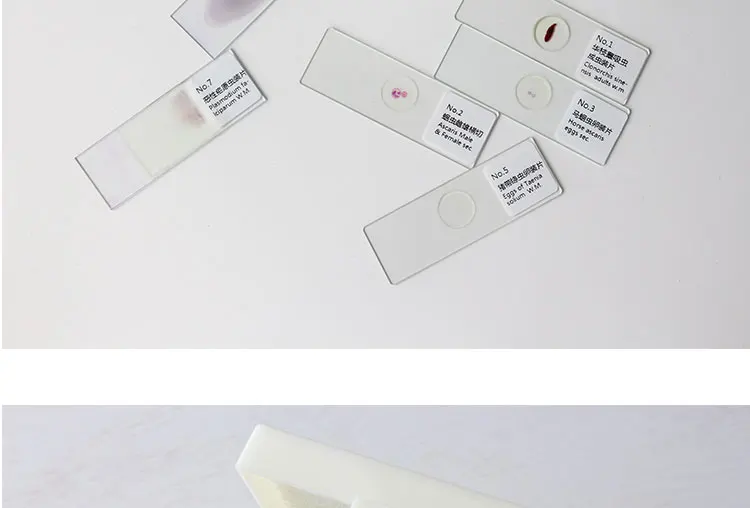 Malaria Microscope Slides for 10 Species - Educational Supply, OEM ...