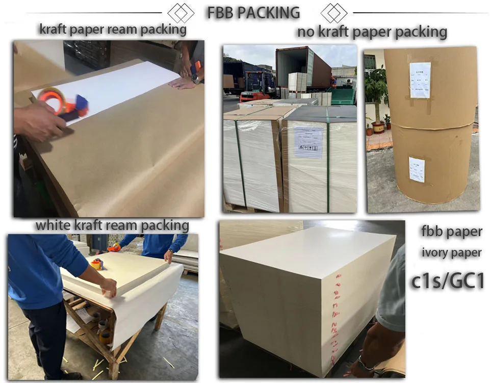 Ningbo Fold Paper Board C1S Coated 300gsm 350gsm Fbb
