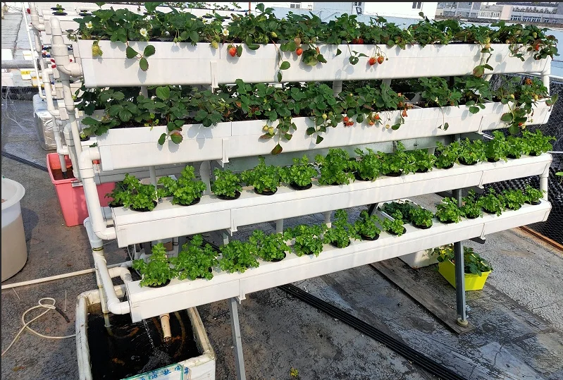High Quality Vertical Hydroponic Nft System Nft Hydroponics Pvc Channel ...