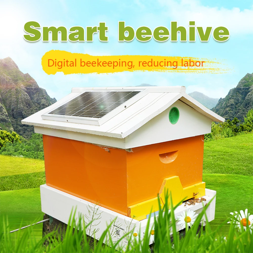 Smart Beehive - Maximize Production with Innovative System