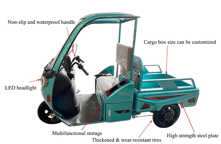 2024 New Design 3-Wheel Steel Electric Trike 1000W Motorized 60V ...