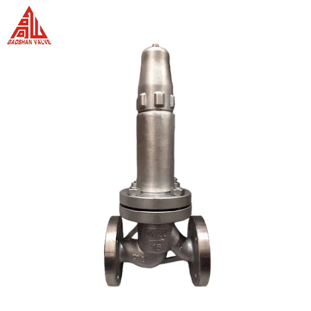 Safety Relief Valve Ahn42f 1 Inch 16bar Stainless Steel Back Flow ...