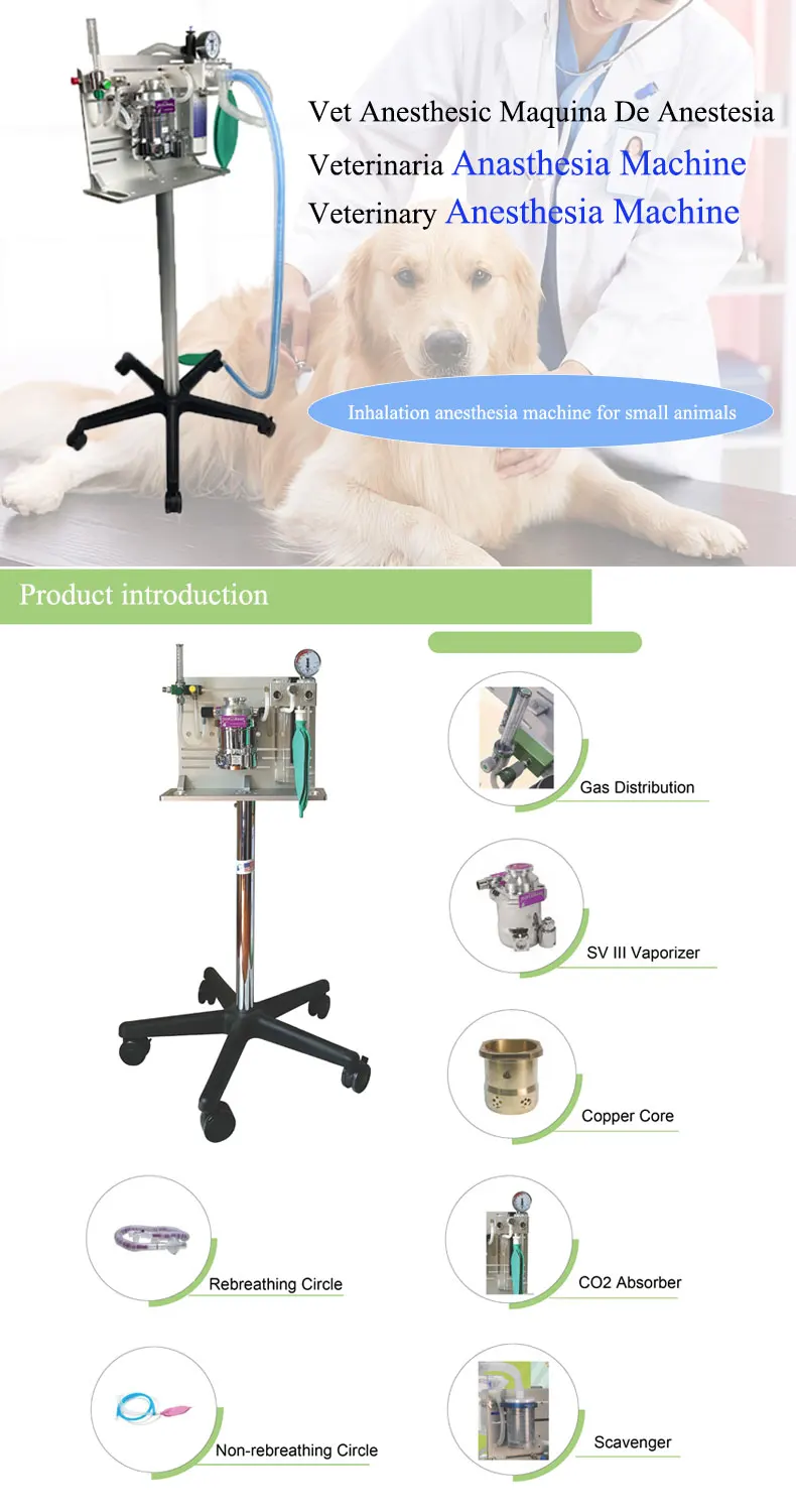 Vet Anesthesic Maquina De Anestesia Veterinaria Anasthesia Machine ...