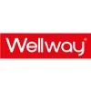 Company Overview - WELLWAY ENTERPRISE DEVELOPMENT LIMITED