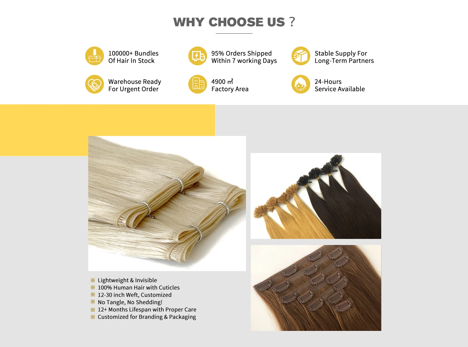 Company Overview - Shandong Longmai Carbon Dafeng Technology Co., Ltd.