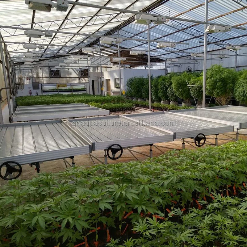 Greenhouse Ebb And Flow Table Rolling Benche Hydroponic System Grow ...