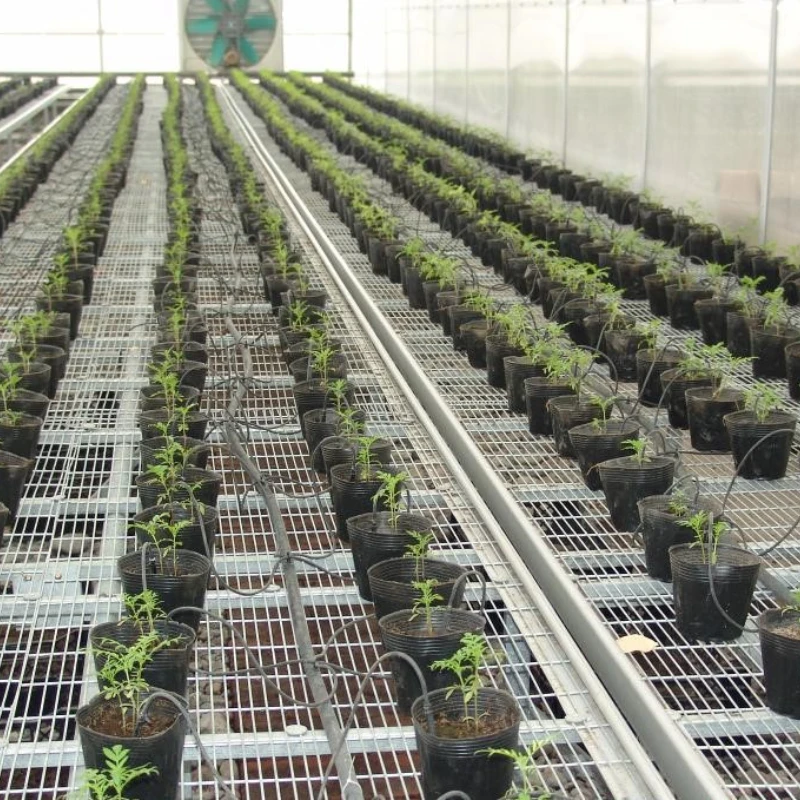 Greenhouse Seed Nursery Benches/rolling Table/seedling Tray Seedbed ...